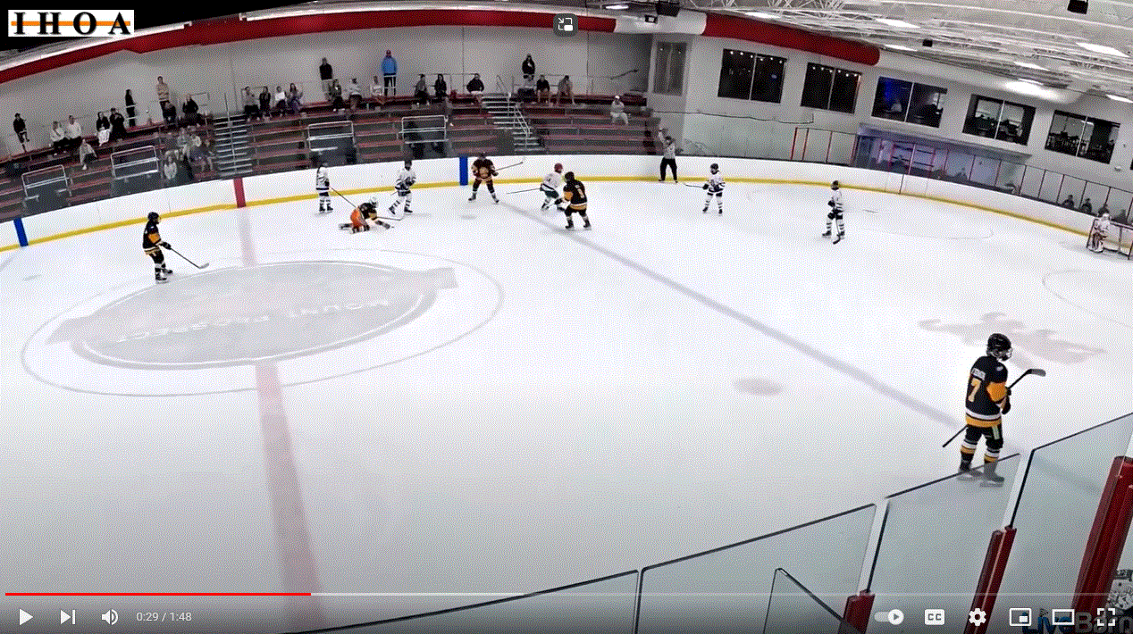 You Make the Call – Illinois Hockey Officials Association